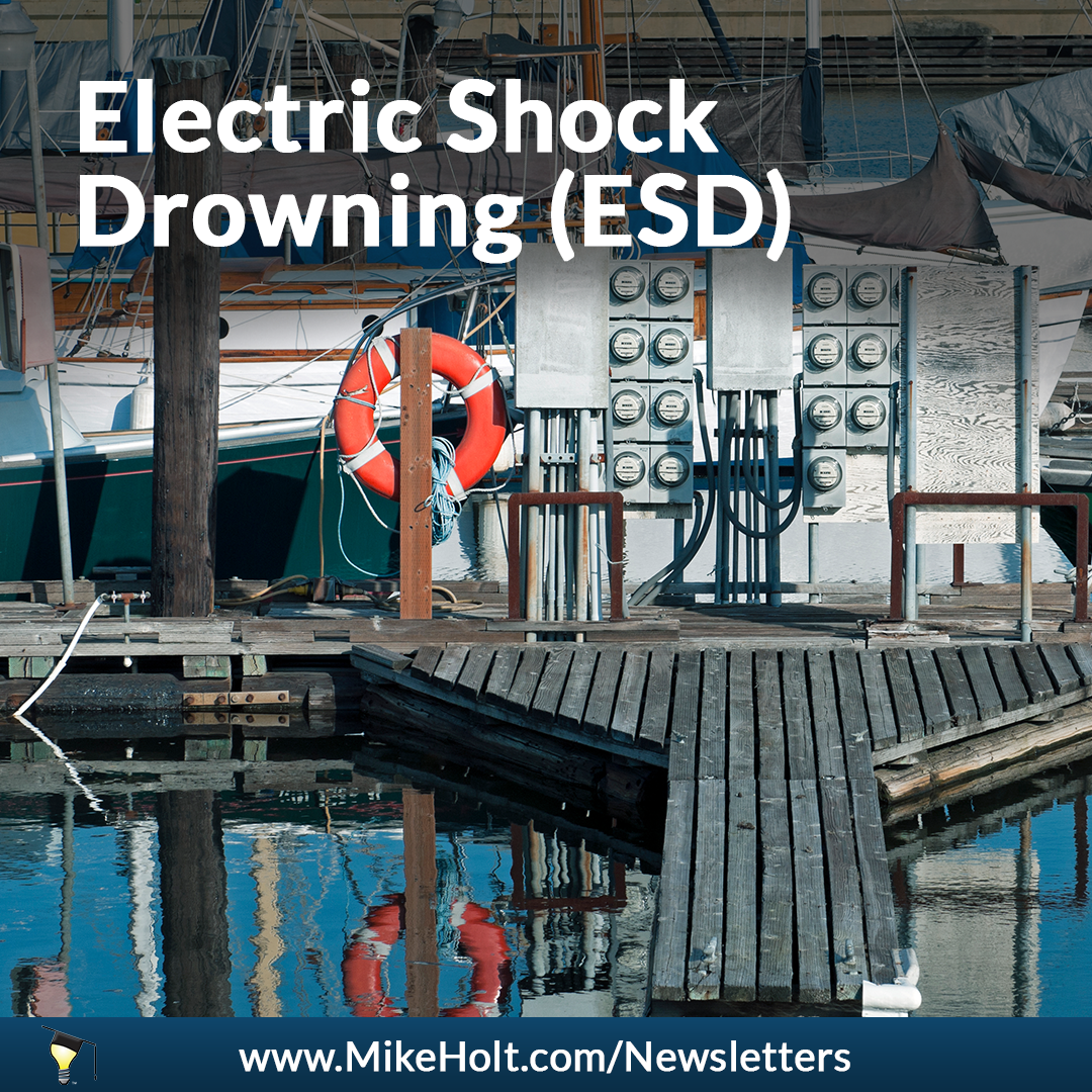 Electric Shock Drowning Incident Update - 2023